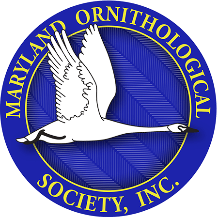 MOS Logo Color 1800×1800 Transparent Background@0,25x – Maryland ...
